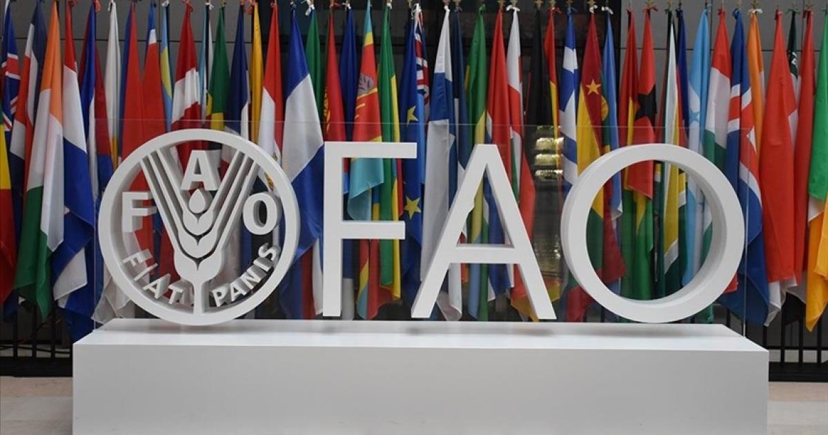 وكالة قدس نت للأنباء/"فاو": استقرار الأسعار العالمية للمواد الغذائية ...